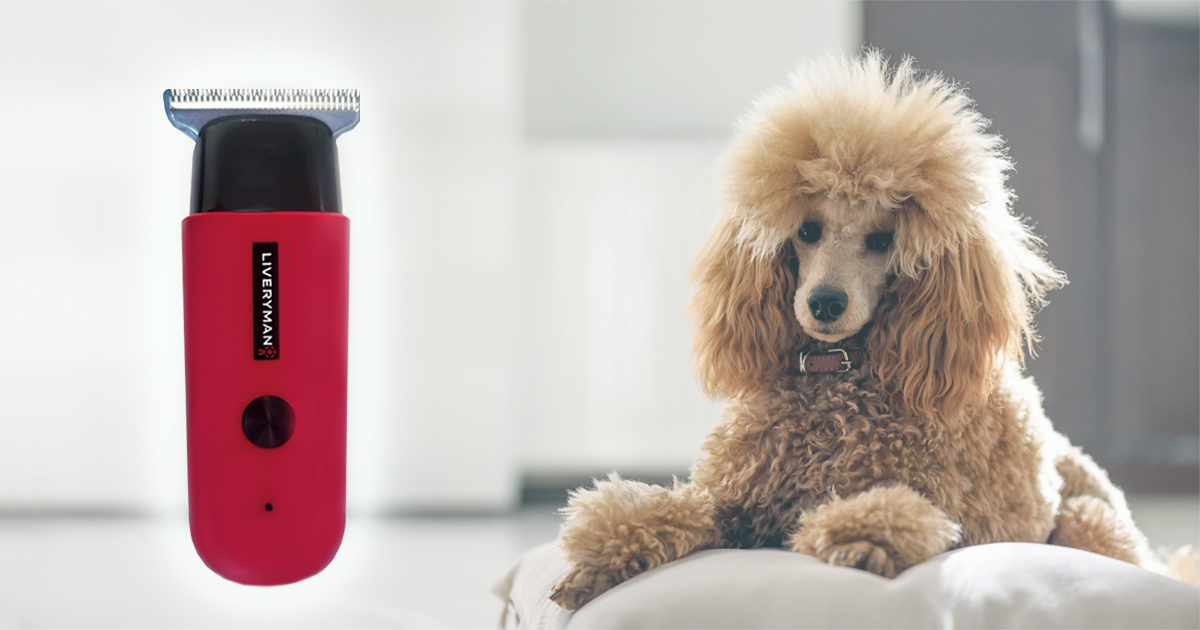 Köp Liveryman Detalj trimmer Robin för häst och hund